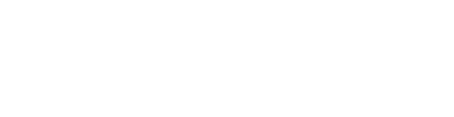 Anamaya in Detail – Anamaya